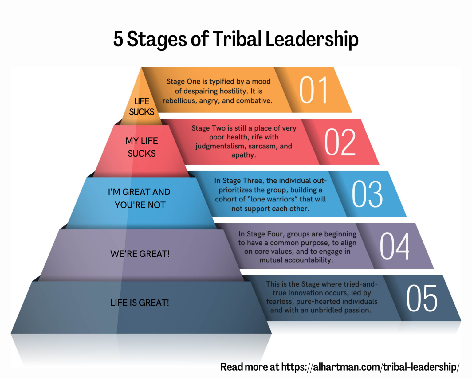 Establishing Tribal Leadership: How to Build a Level 5 Company